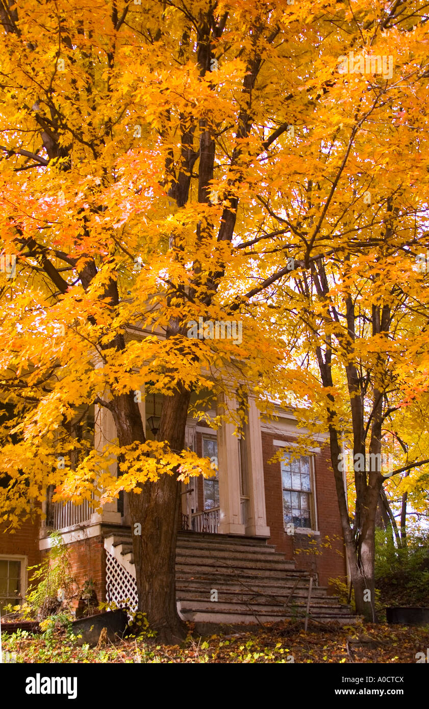 An abandoned home surrounded by Fall foliage in Weston, Missouri USA ...