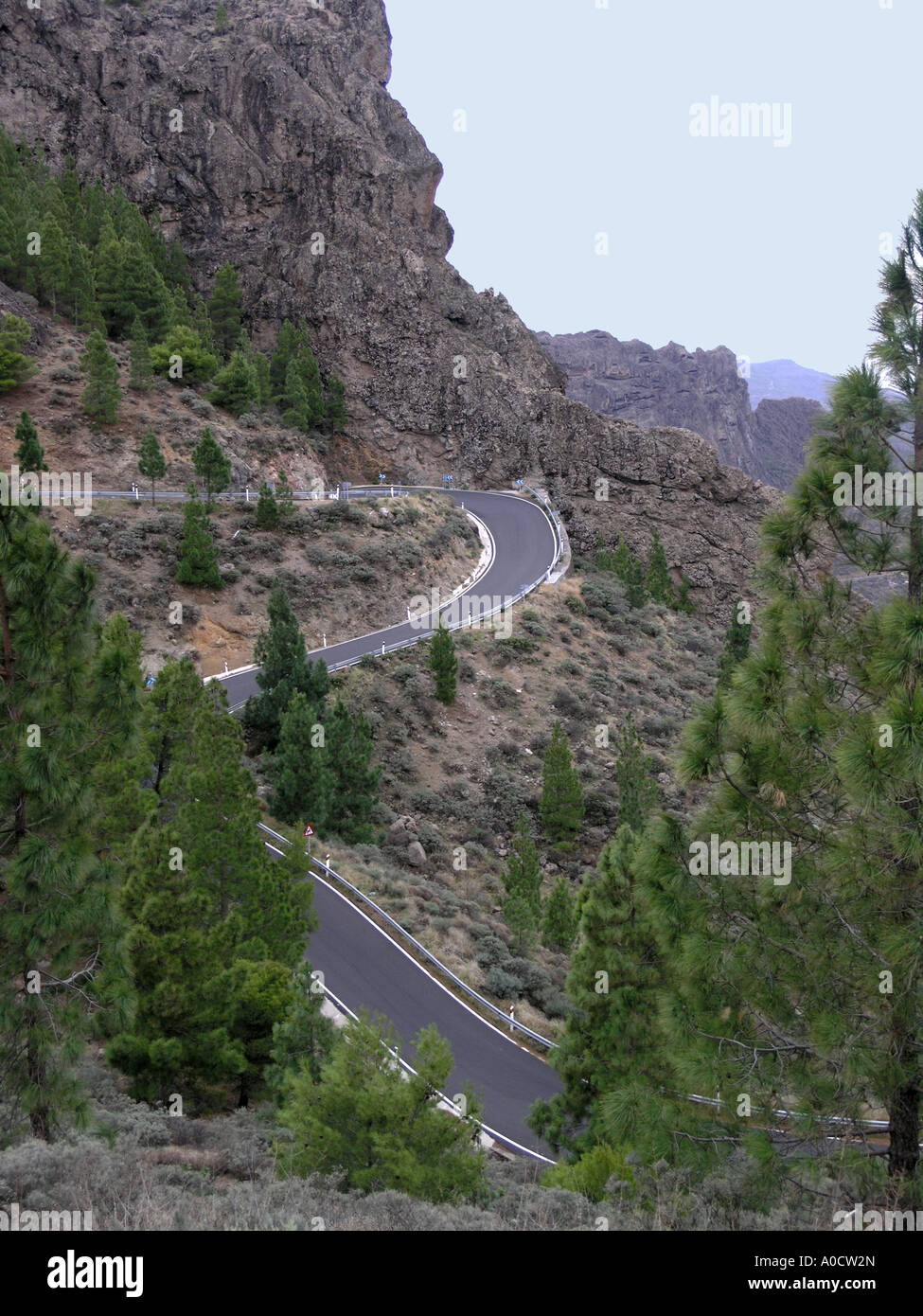 Steep road pine trees hi-res stock photography and images - Alamy