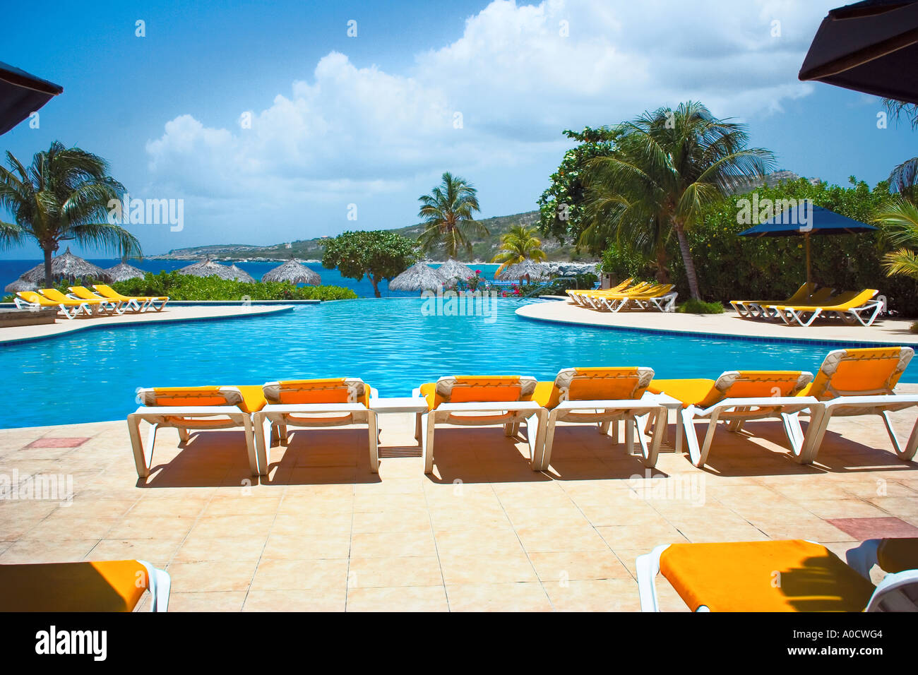 Swimming Pool on the island of Curacao Netherlands Antilles Stock Photo ...