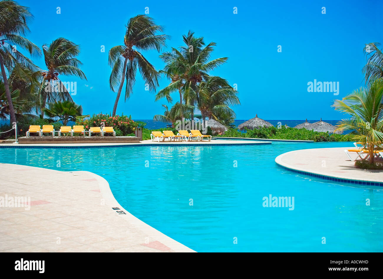 Swimming Pool on the island of Curacao Netherlands Antilles Stock Photo ...