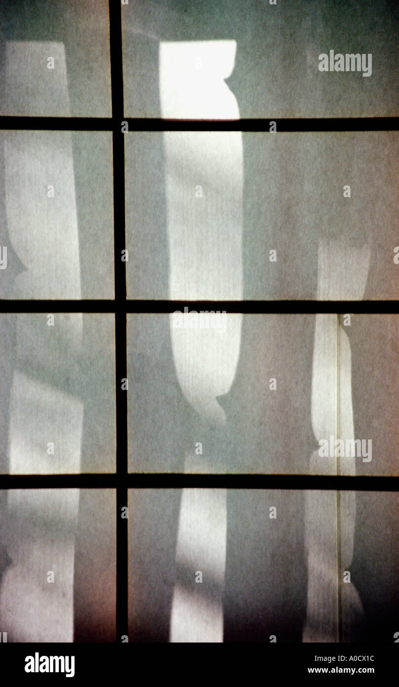 Japanese screen door shadow hi-res stock photography and images - Alamy