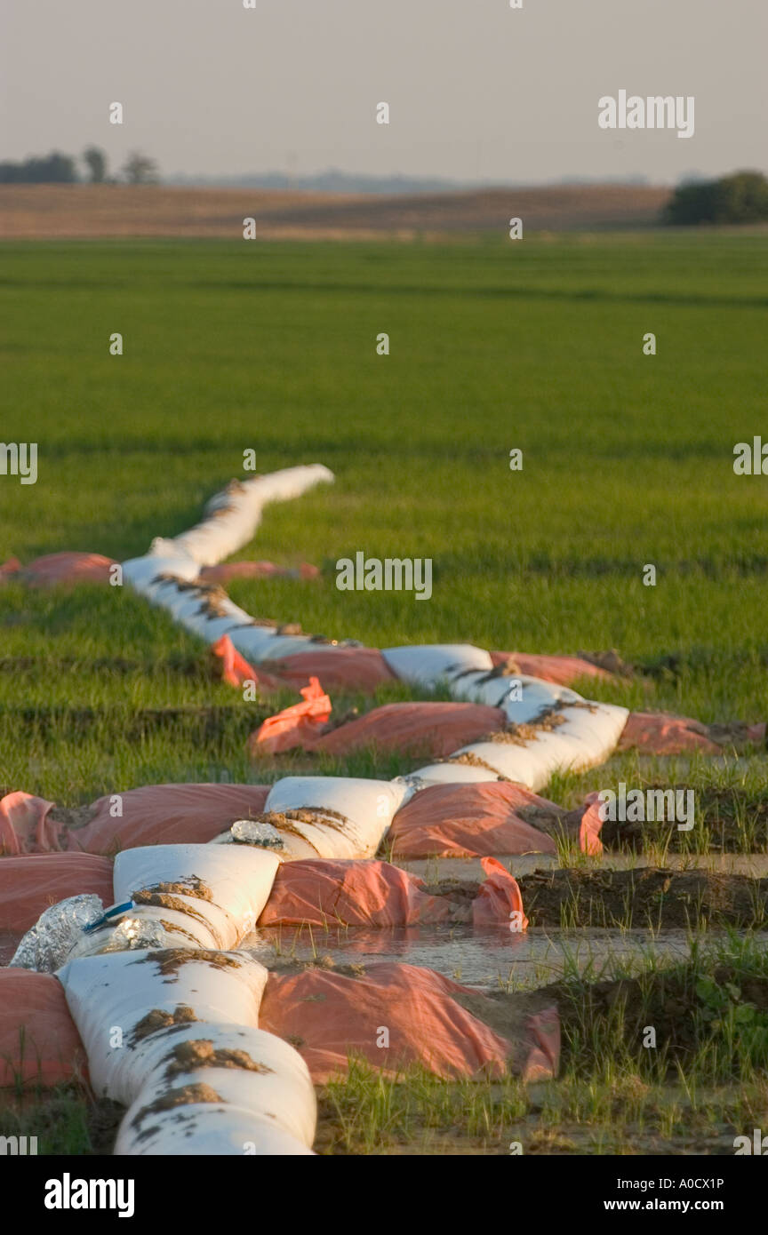 Rice farming arkansas hi-res stock photography and images - Alamy