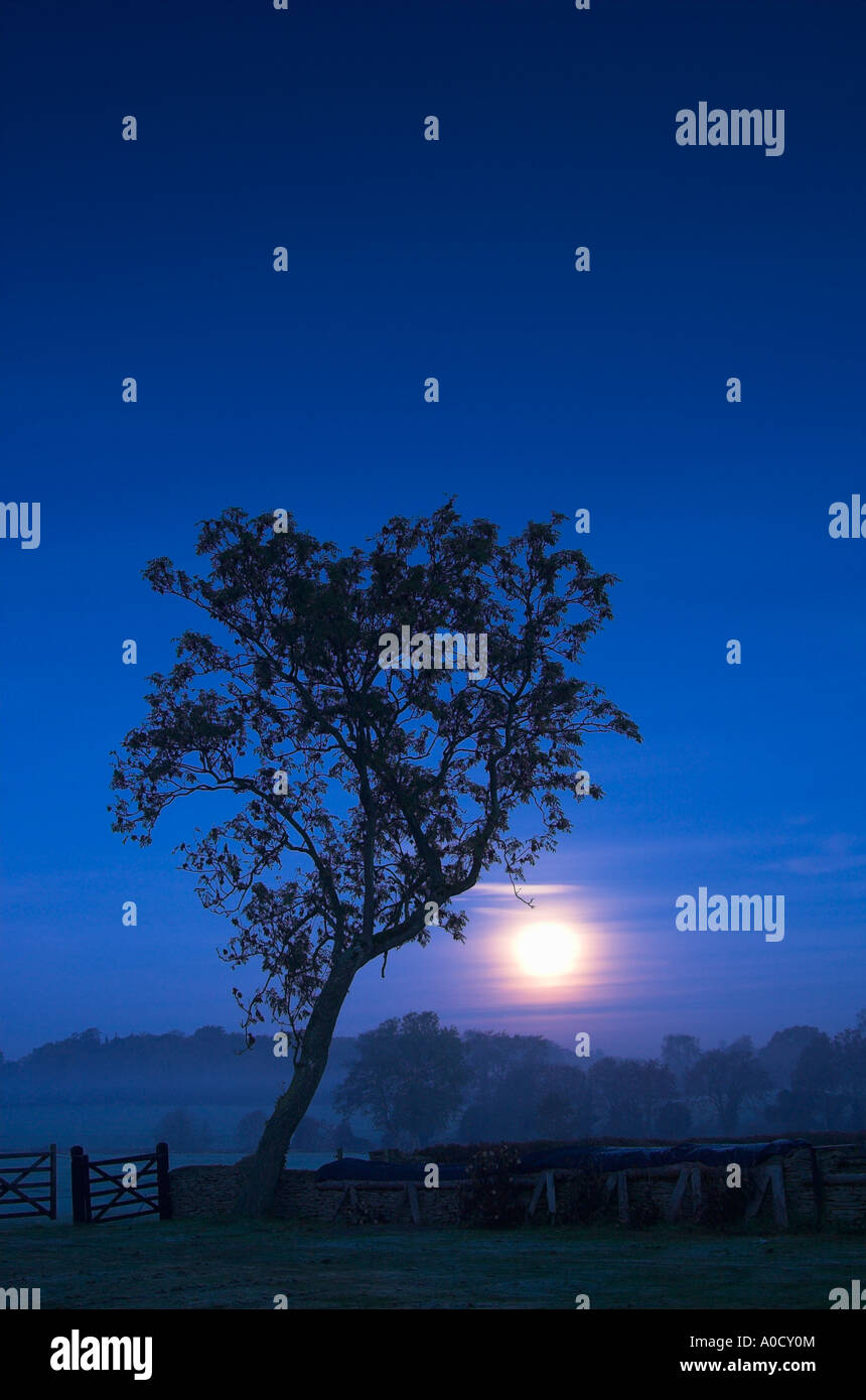 Moonlit landscape hi-res stock photography and images - Alamy