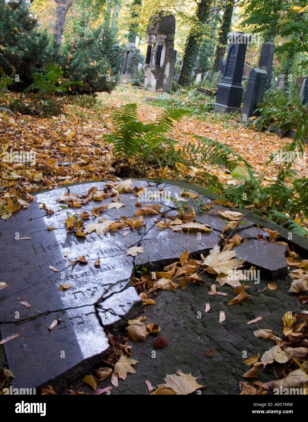 Formerly Breslau High Resolution Stock Photography and Images - Alamy