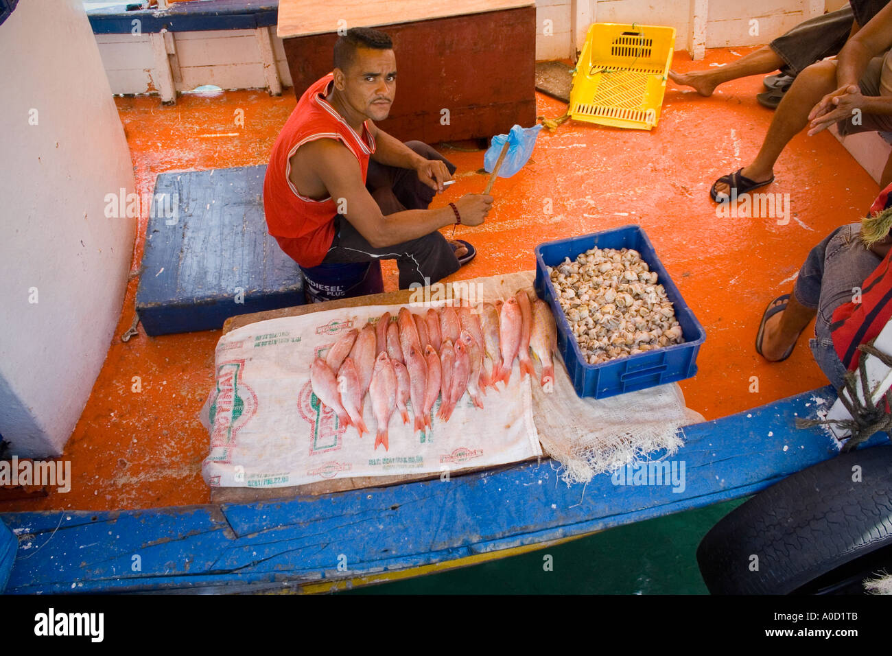 Fisherman selling freshly caught fish in Curacao Netherlans Antilles ...