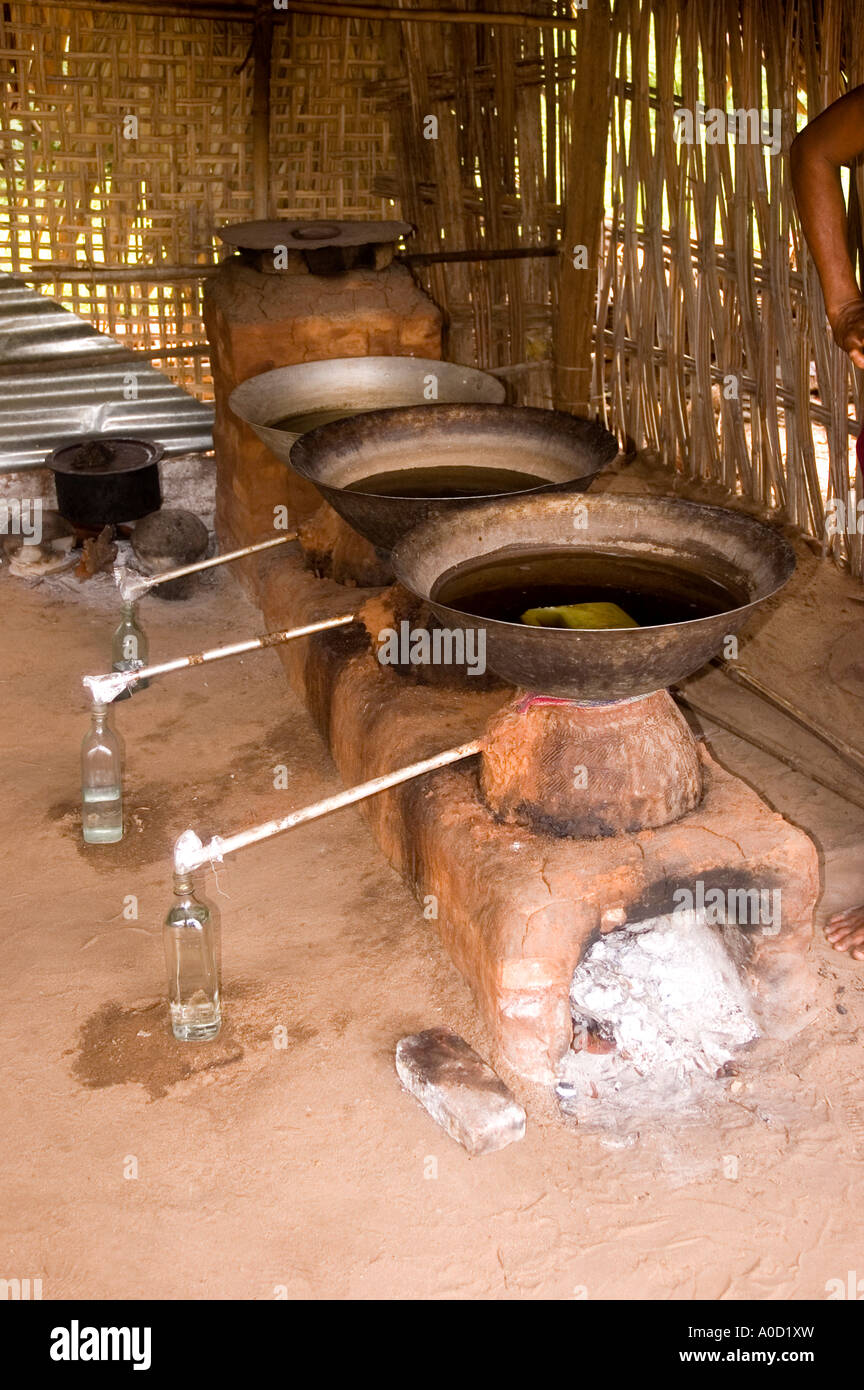 Stock photograph of a typical setup for distilling alcohol from palm ...