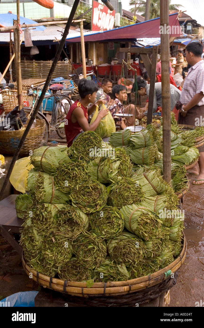Stock photograph of a basket of cut Piper betle leaves at Bago in ...