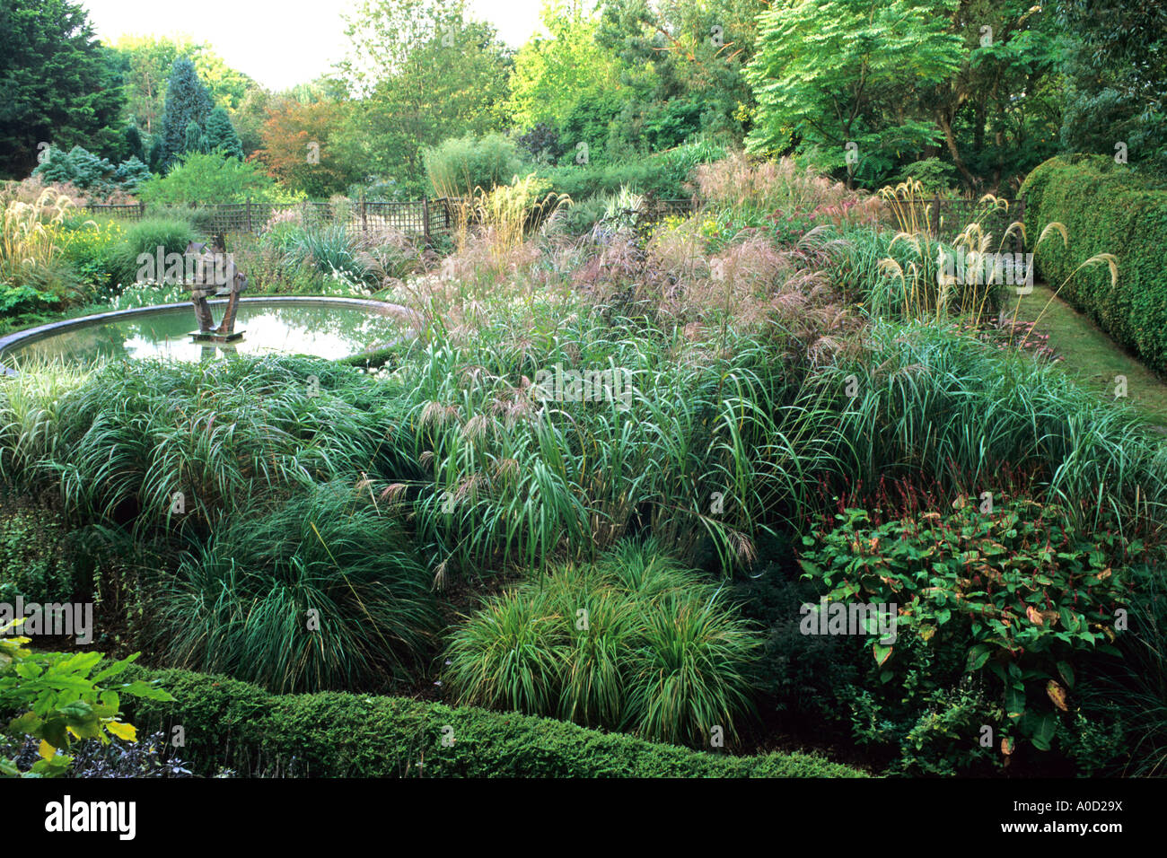 THE SUNKEN GARDEN AT KNOLL GARDEN DORSET WITH POND SURROUND BY ...