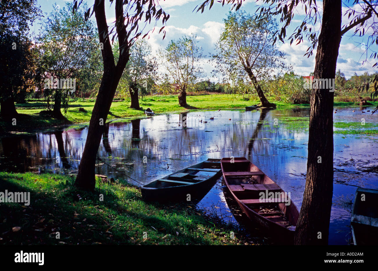 Biebrza river in Goniadz town, little bay with canoes and willows Stock ...