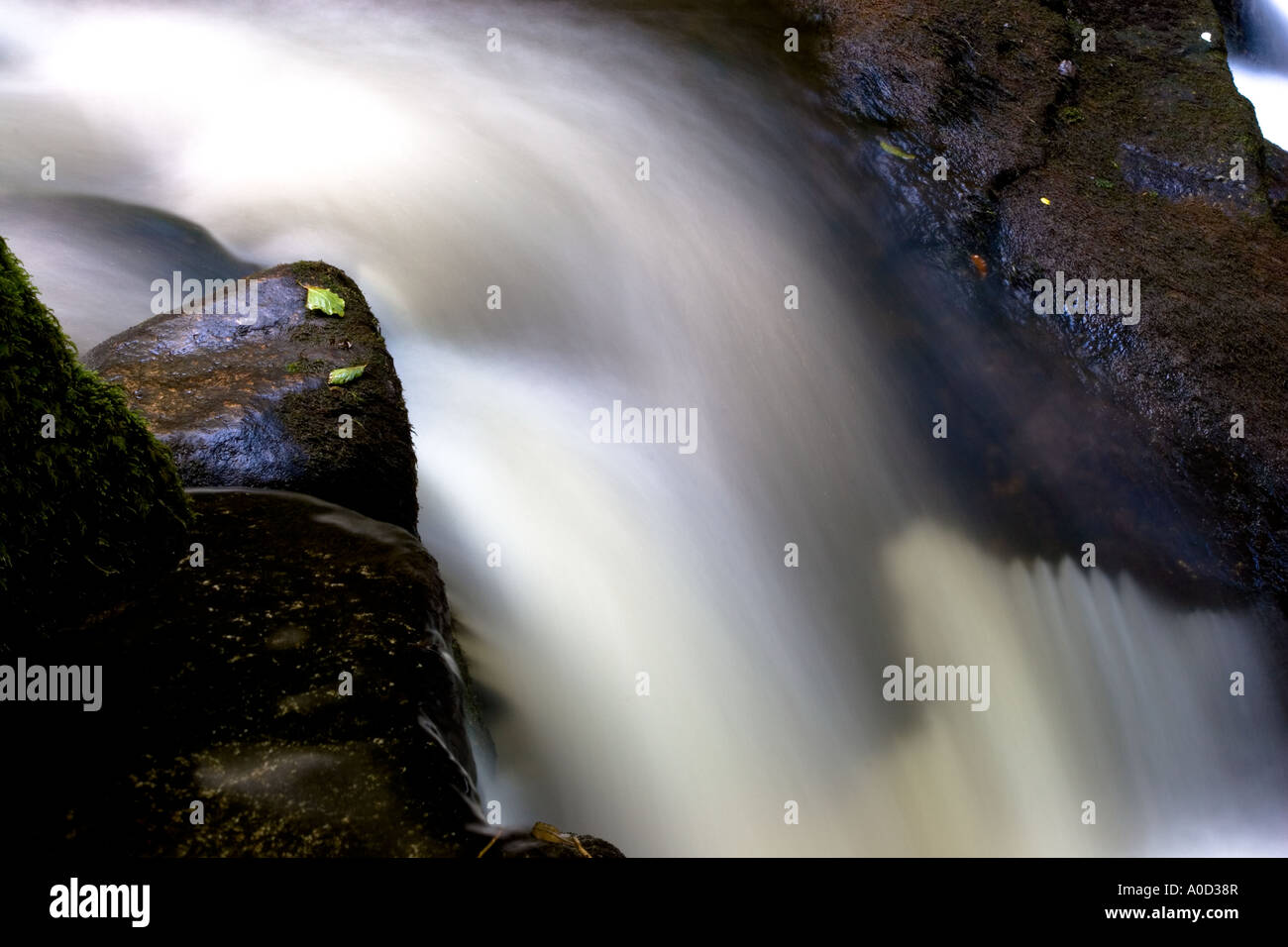 leaf and waterfall Stock Photo - Alamy