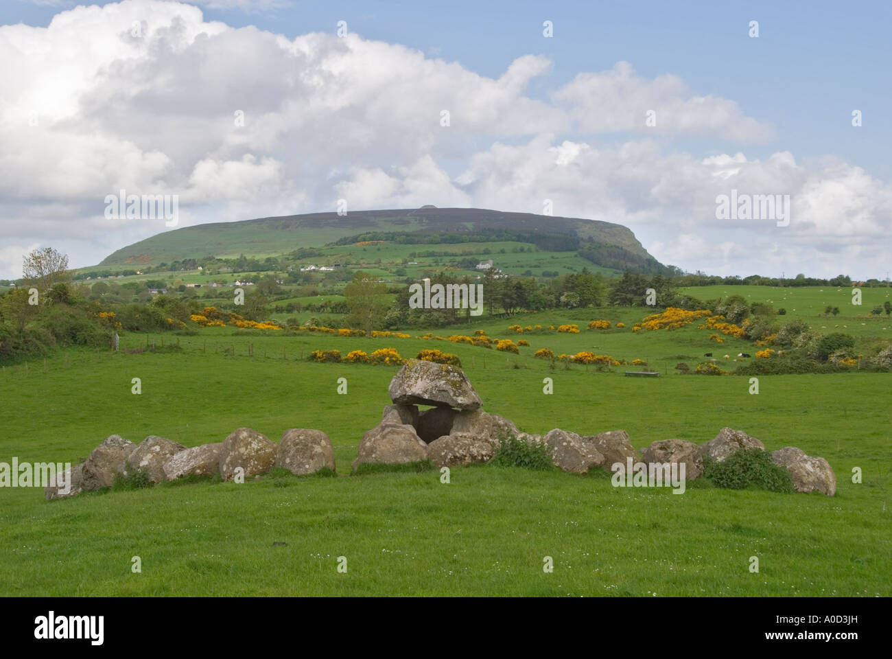 Ireland County Sligo Carrowmore Megalithic Cemetery Tomb 7 Knocknarea ...