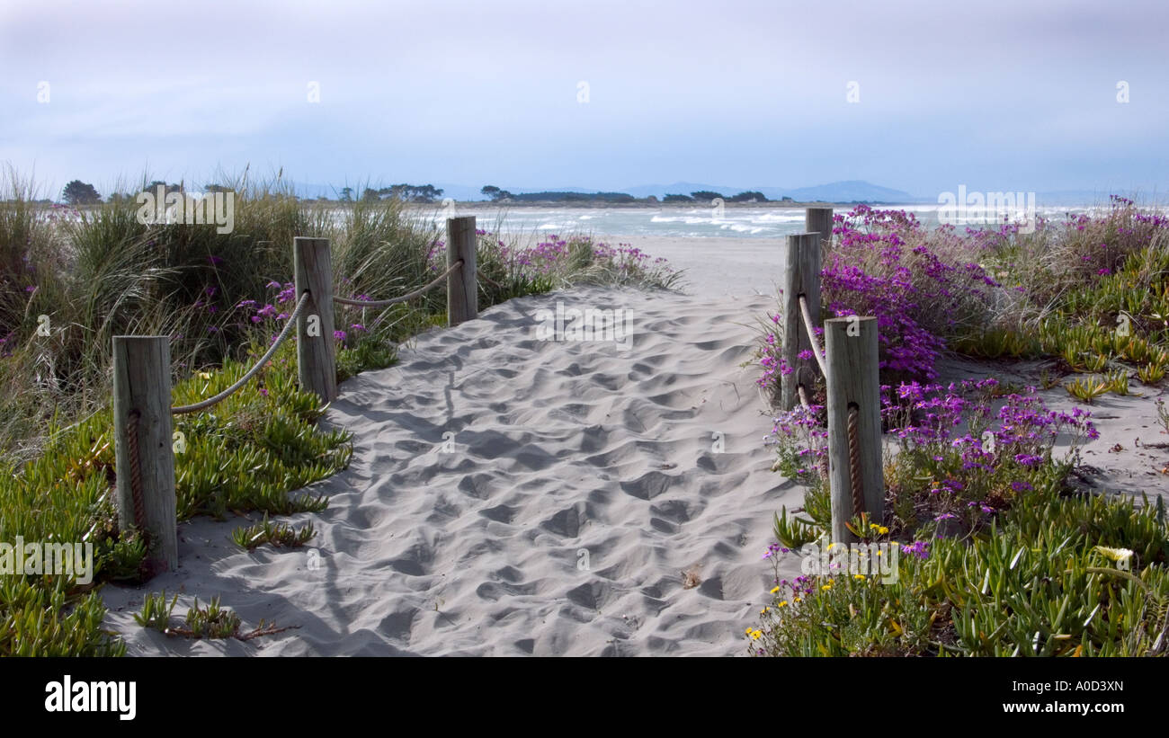 Sumner Beach Christchurch High Resolution Stock Photography and Images ...