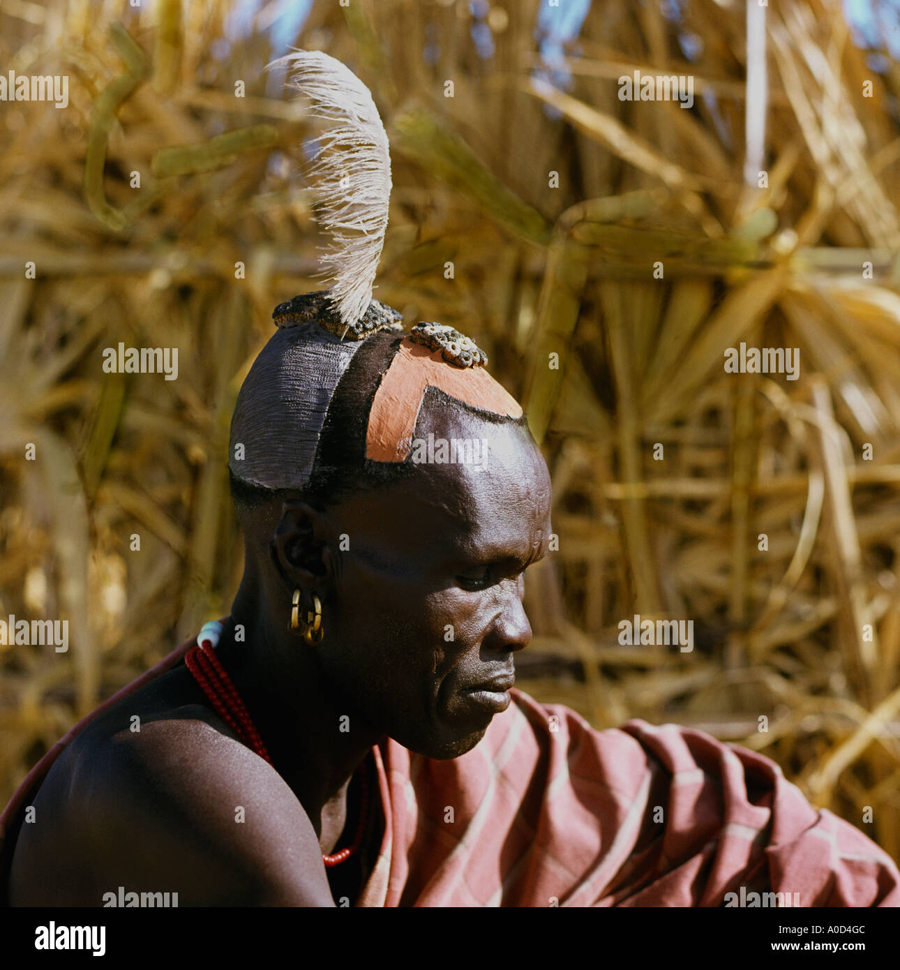 Turkana Man with clay hairbun. Kenya Stock Photo - Alamy