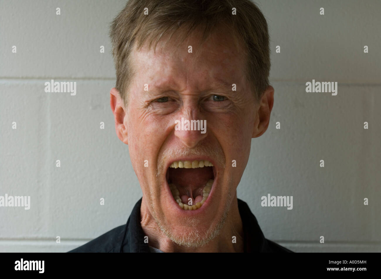 angry man shouting Stock Photo - Alamy