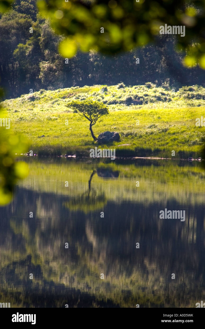 Perfect reflection on lake in Snowdonia - fantastic picture of lake ...