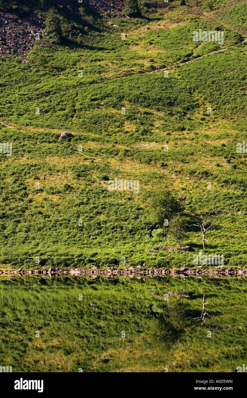 Perfect reflection on lake in Snowdonia - fantastic picture of lake ...