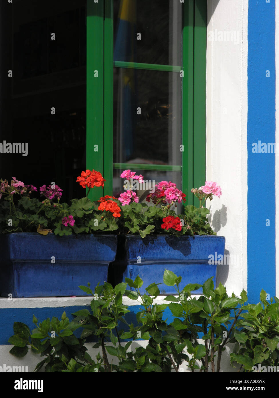 Ceramic planters hi-res stock photography and images - Alamy