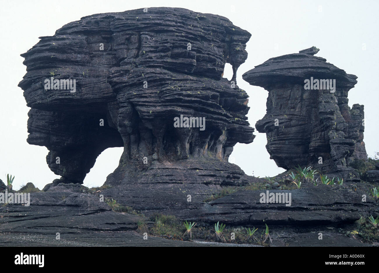 Rock Formations Roraima Venezuela Stock Photo: 9958825 - Alamy