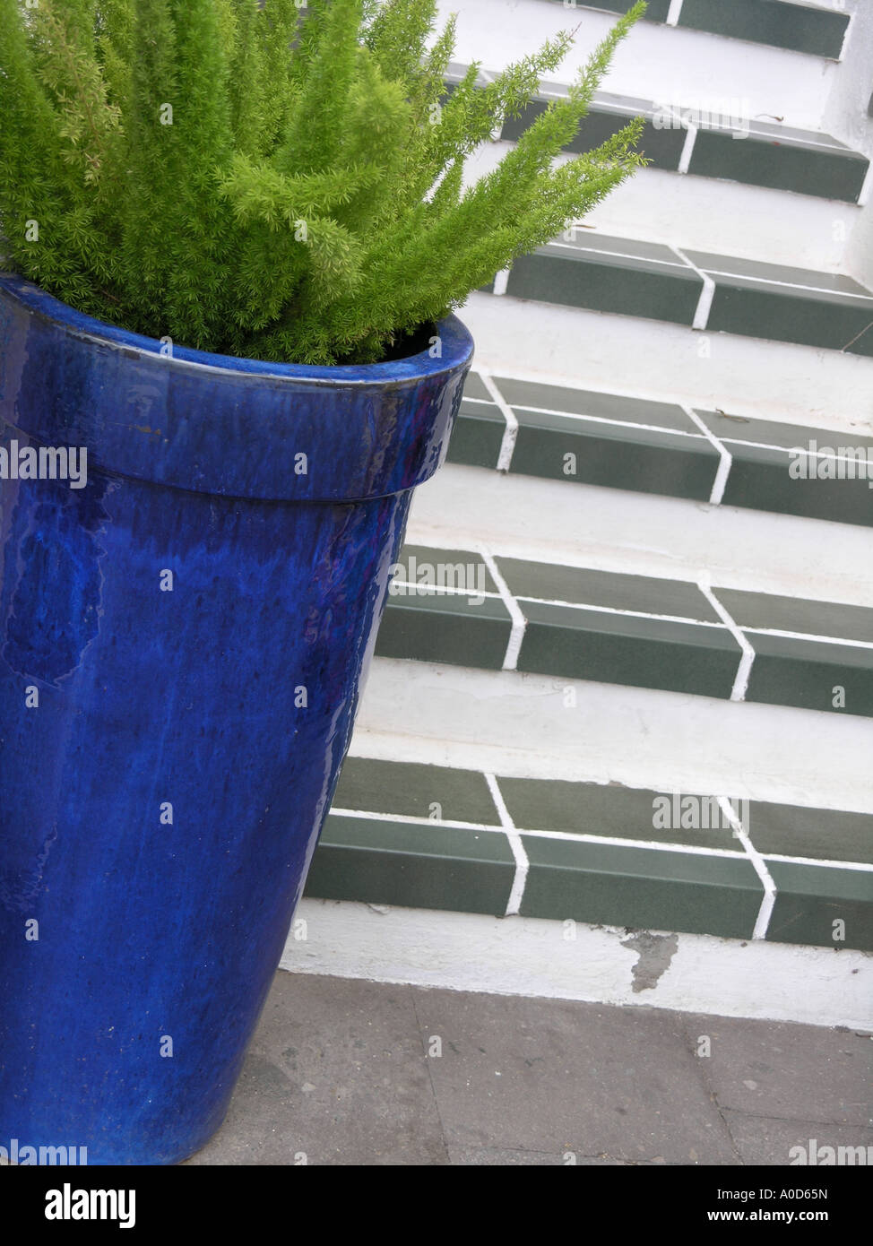 White tile blue pot hi-res stock photography and images - Alamy