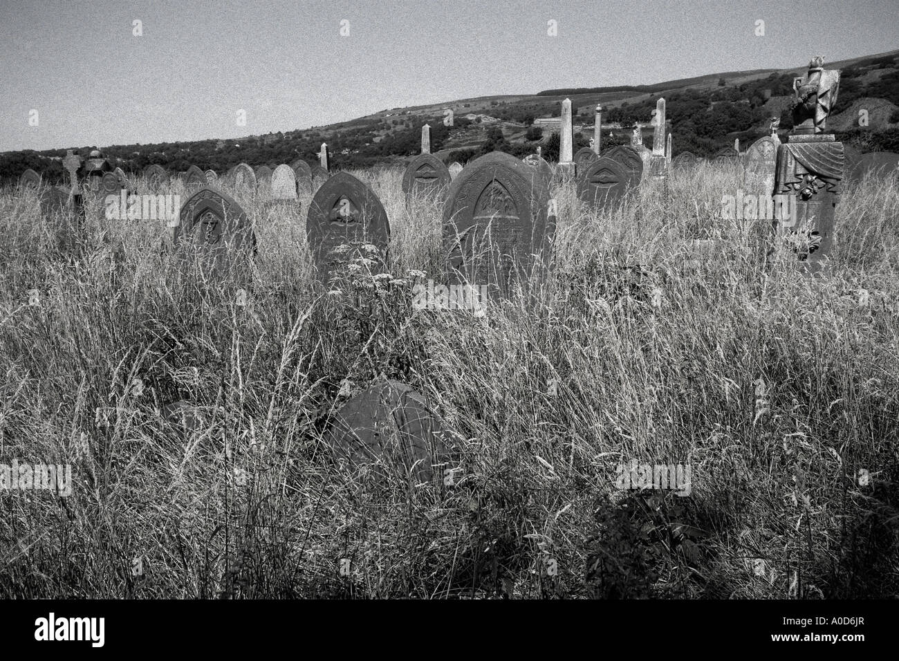 Over grown grave yard with very old grave stones Stock Photo - Alamy