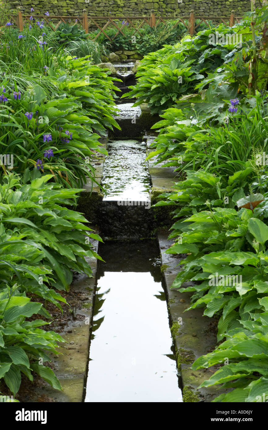 small rill in a woodland garden planted with various hosta varieties ...