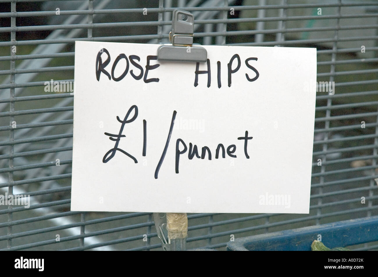Rose hips hip sign hi-res stock photography and images - Alamy