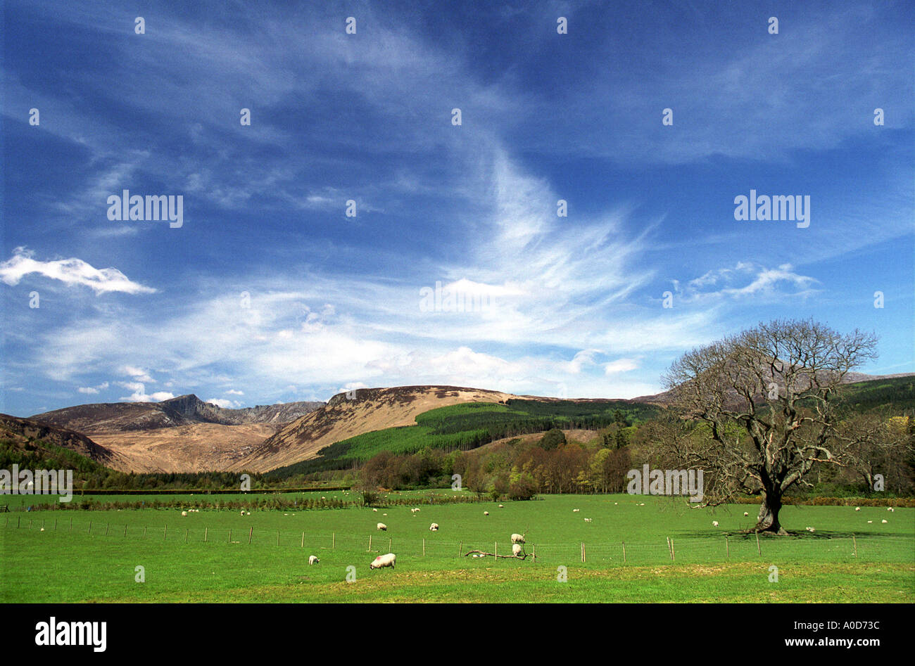 Isle of Arran Scotland Stock Photo - Alamy