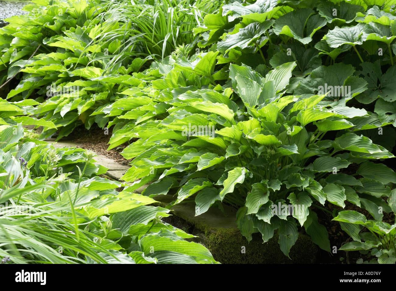 Rill hi-res stock photography and images - Alamy
