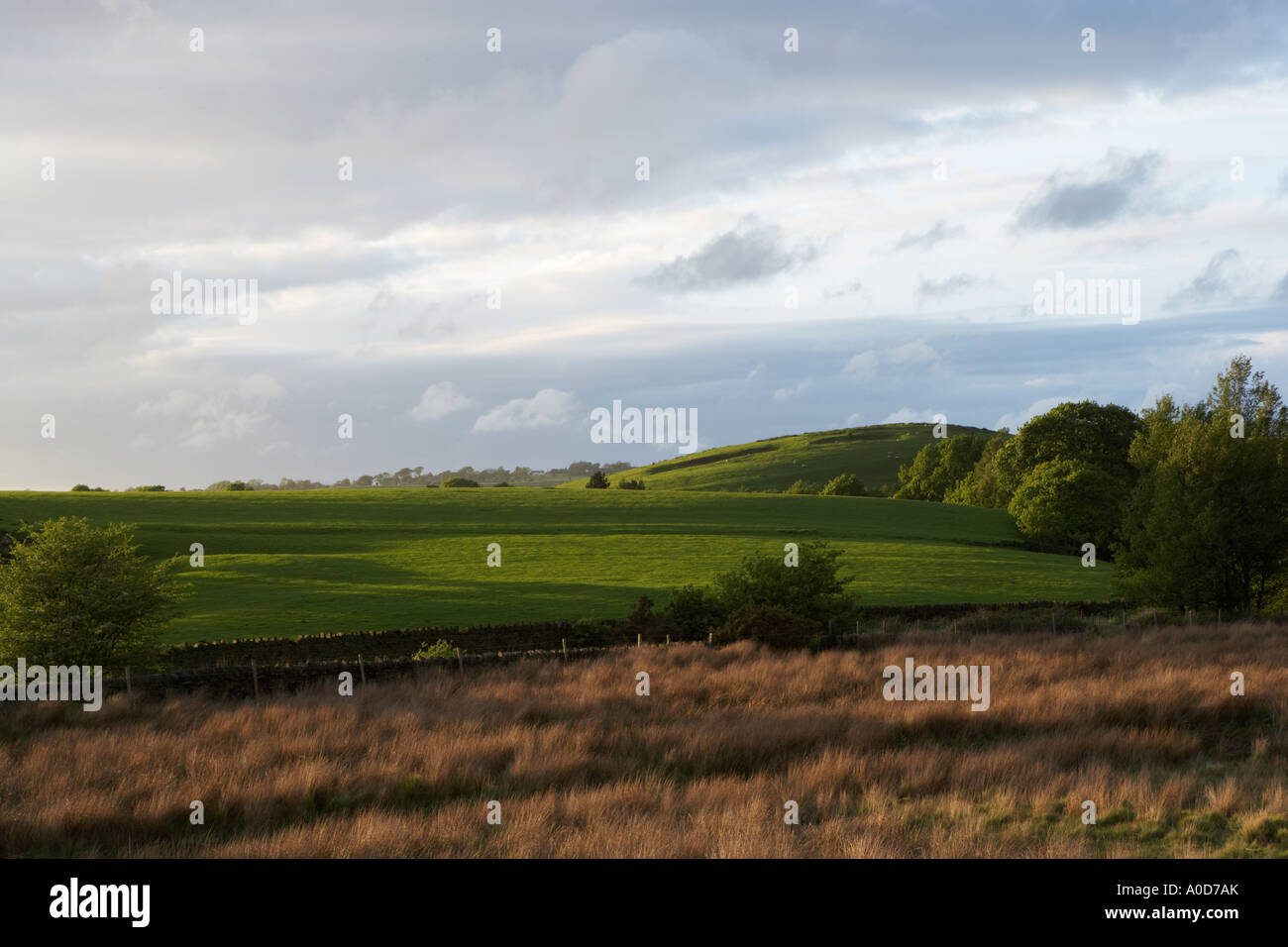 Coppice lane hi-res stock photography and images - Alamy