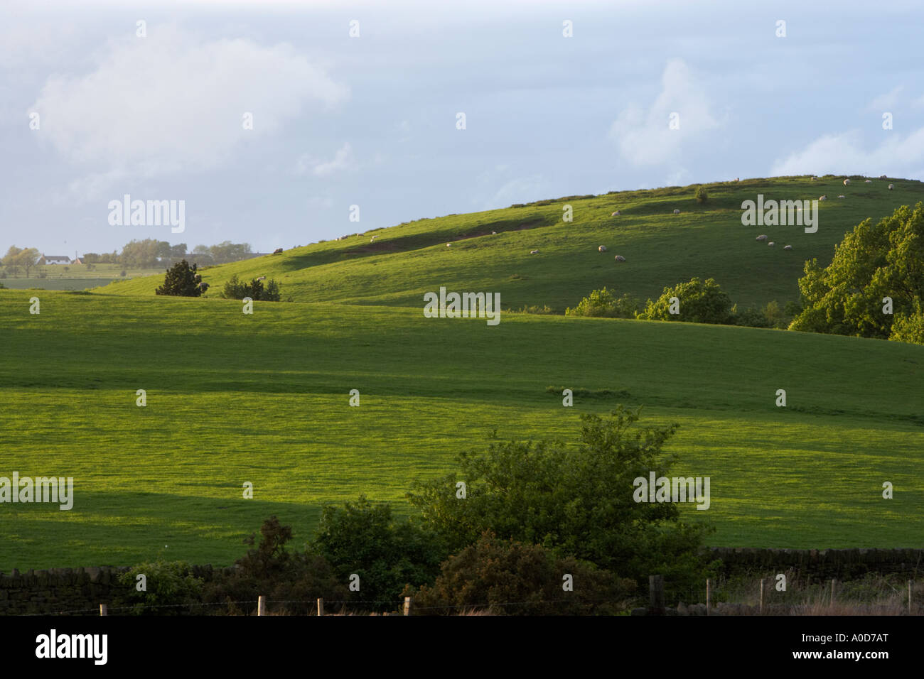 Coppice lane hi-res stock photography and images - Alamy