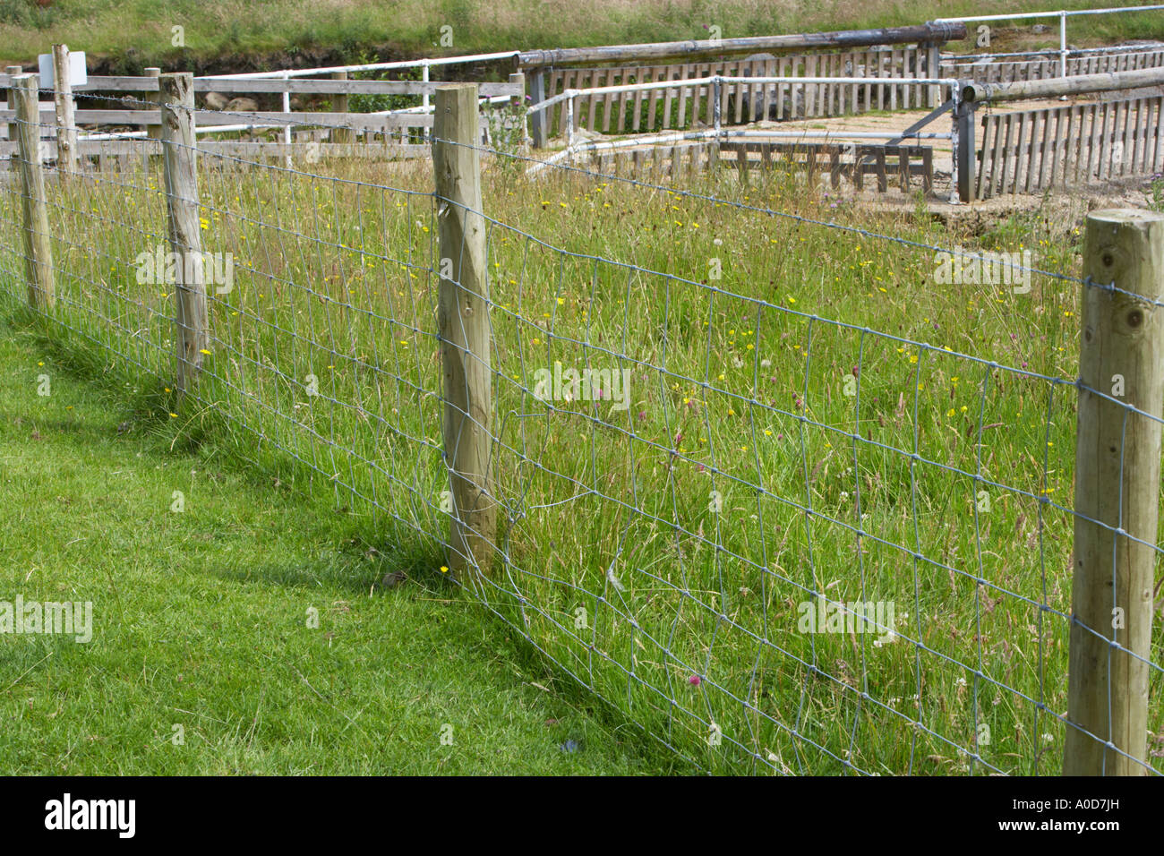 Sheep proof fencing hi-res stock photography and images - Alamy