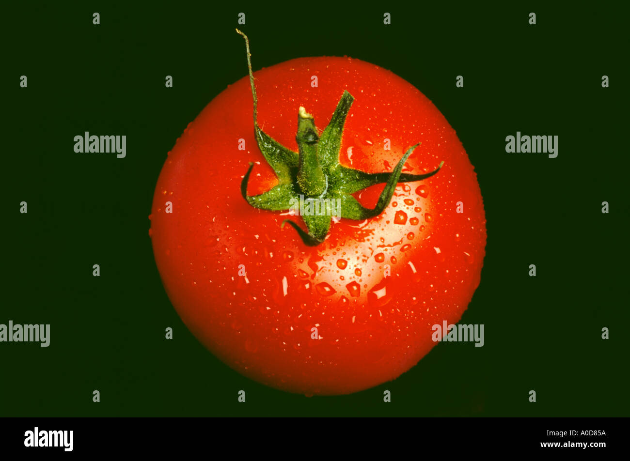 TOMATO RED FRUIT FOOD Stock Photo - Alamy