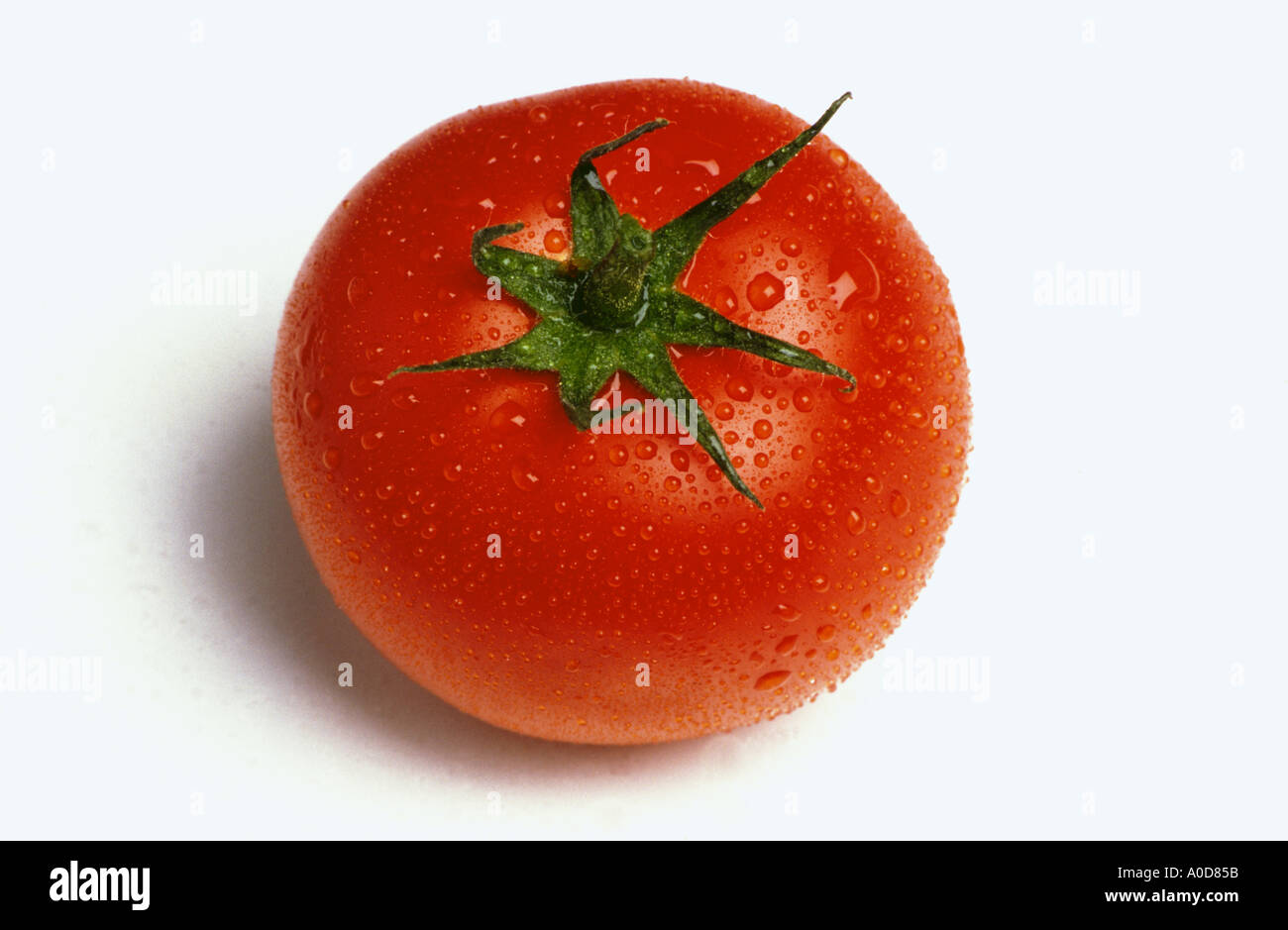 TOMATO RED FRUIT FOOD Stock Photo - Alamy