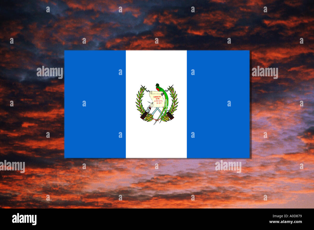 FLAG OF GUATEMALA Stock Photo - Alamy