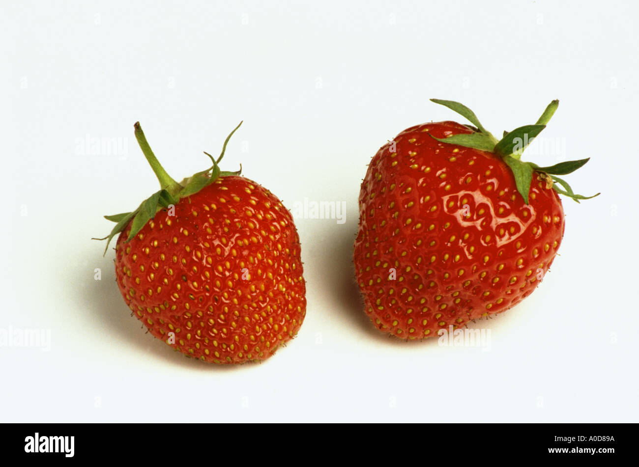 Agricultural desserts hi-res stock photography and images - Alamy