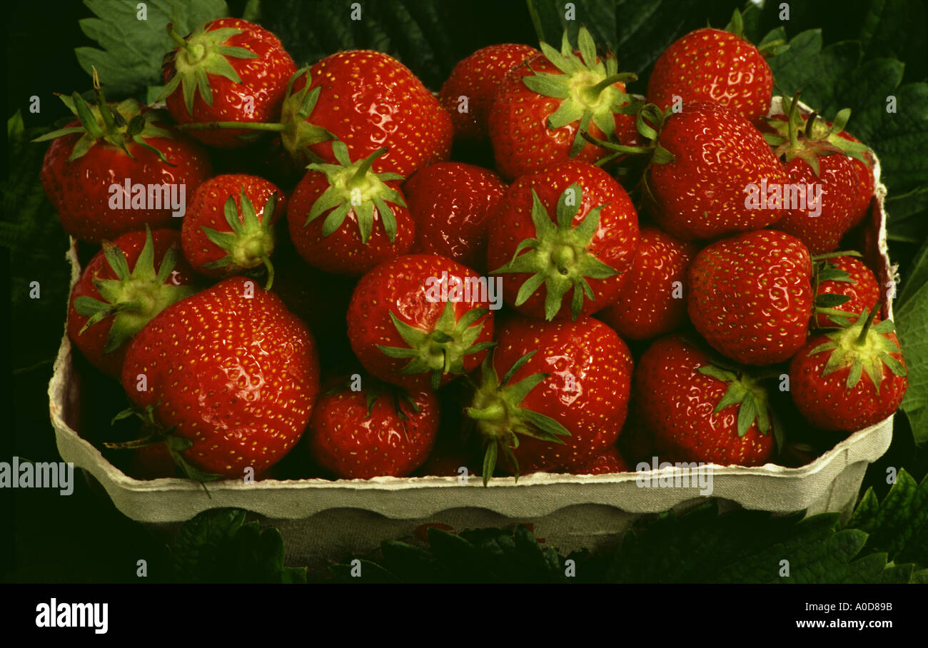 a lot of red strawberries strawberry fruits Stock Photo - Alamy