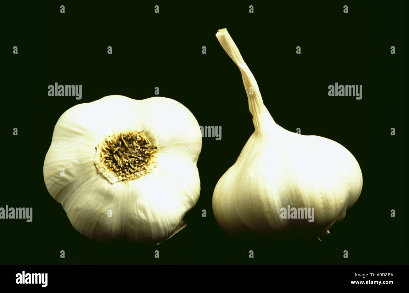 garlic food spice Stock Photo - Alamy