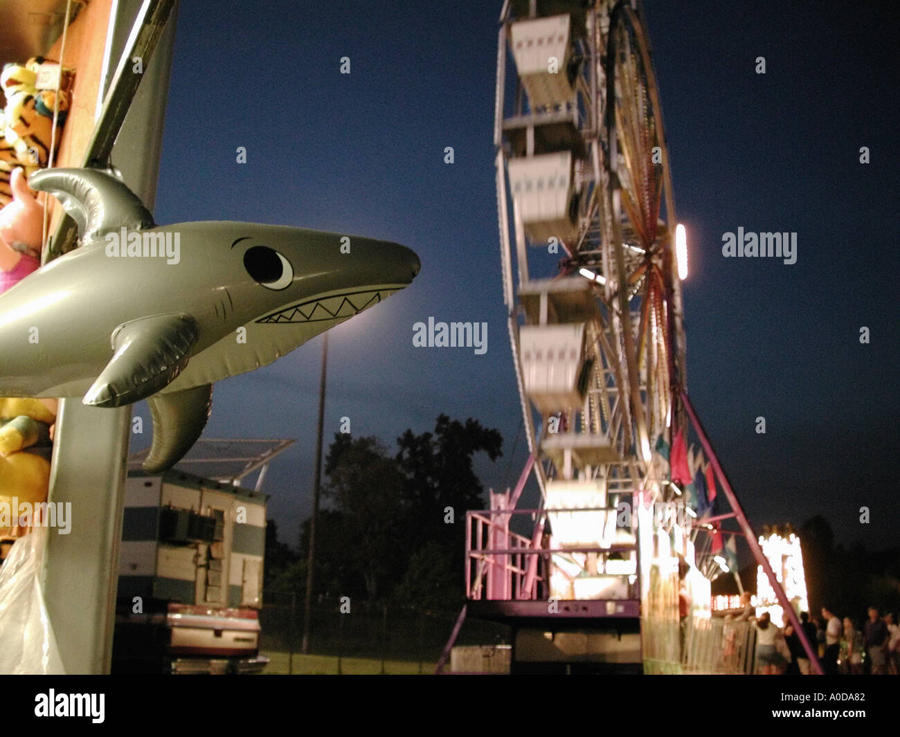 Shark turning hi-res stock photography and images - Alamy