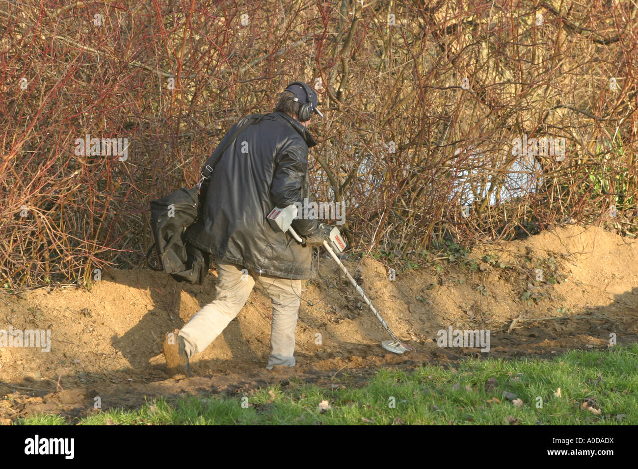 A man metal detecting Stock Photo - Alamy