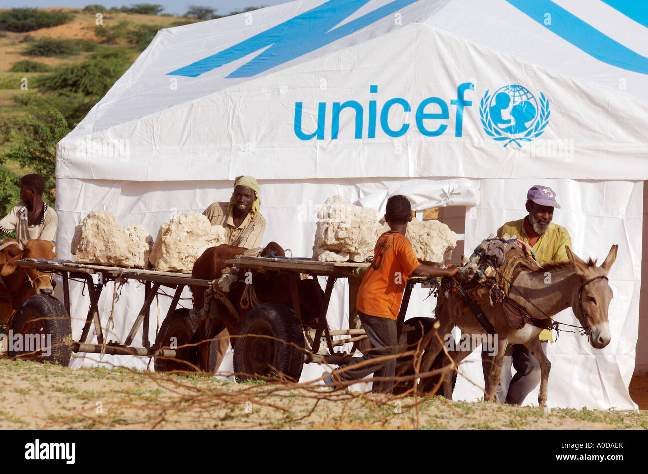 Daily life in Merca, Southern Somalia Stock Photo - Alamy