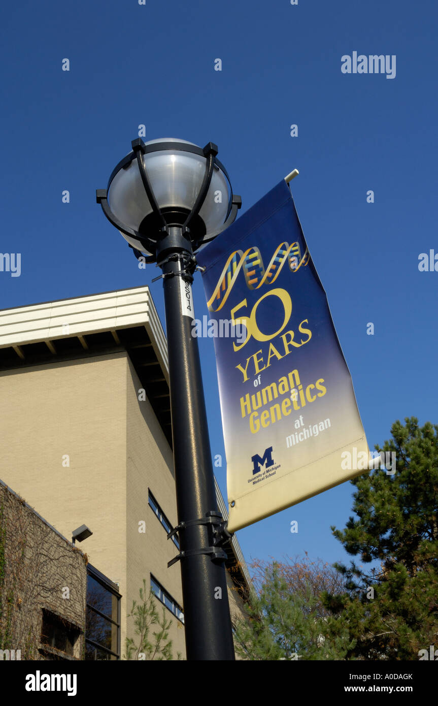 U Of M Lamp