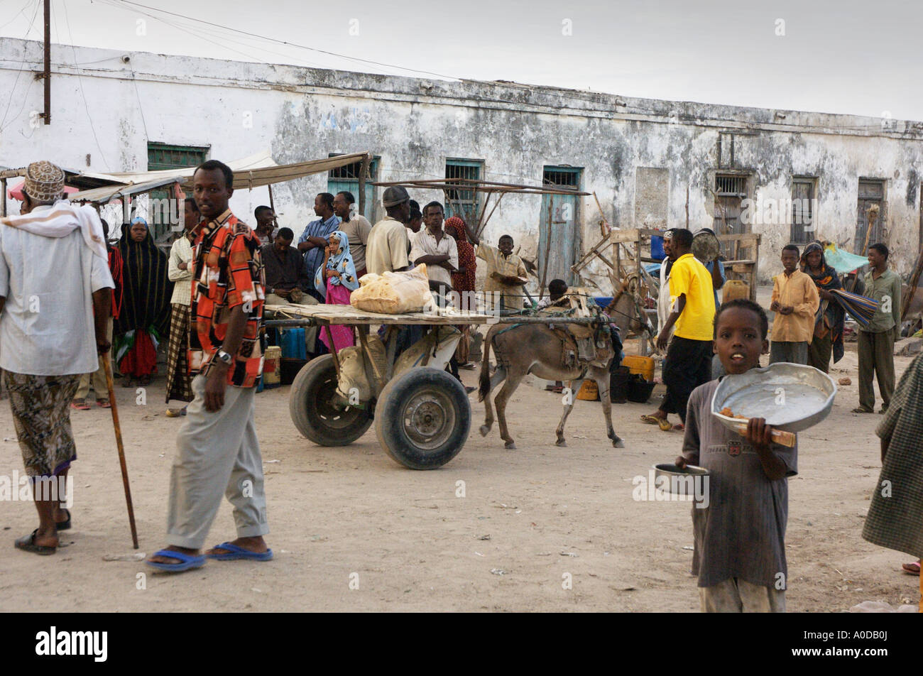 Merca is an ancient port city in the southern Lower Shebelle province ...