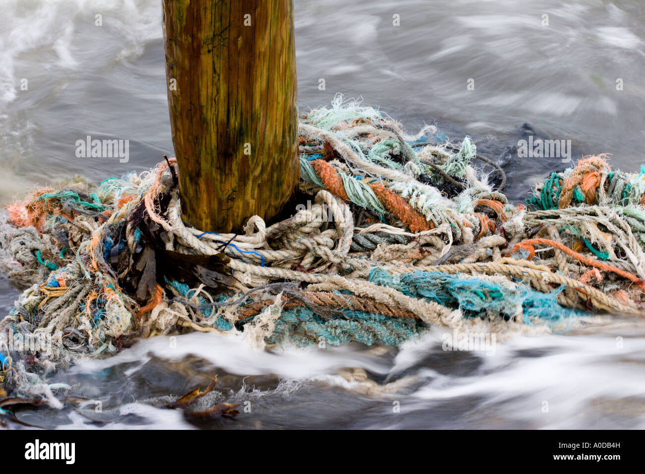Mooring line attached hi-res stock photography and images - Alamy