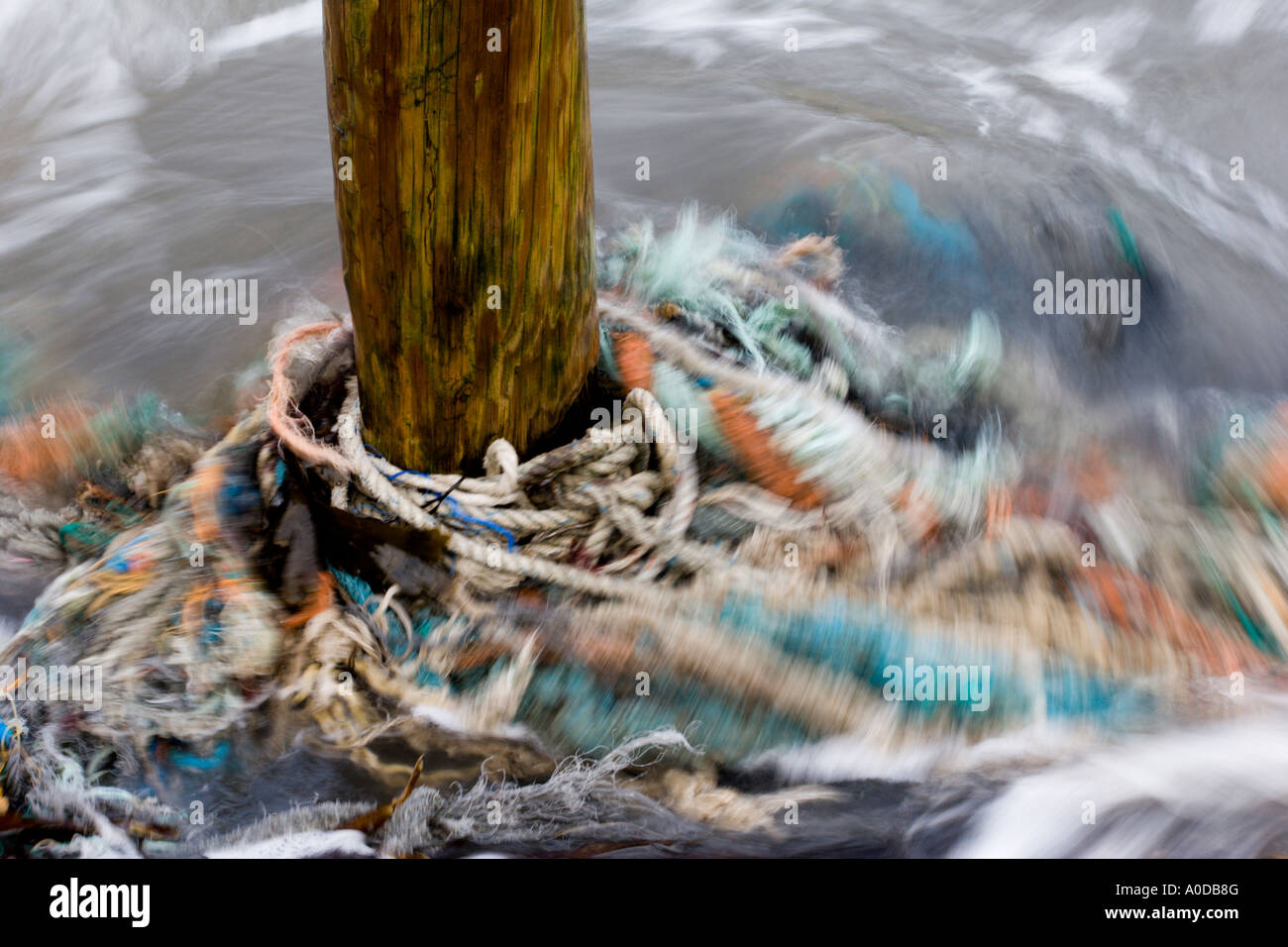 Rope swirling in the Sea Stock Photo - Alamy