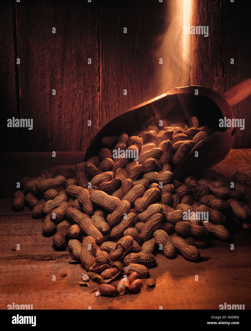 Peanut roaster hi-res stock photography and images - Alamy