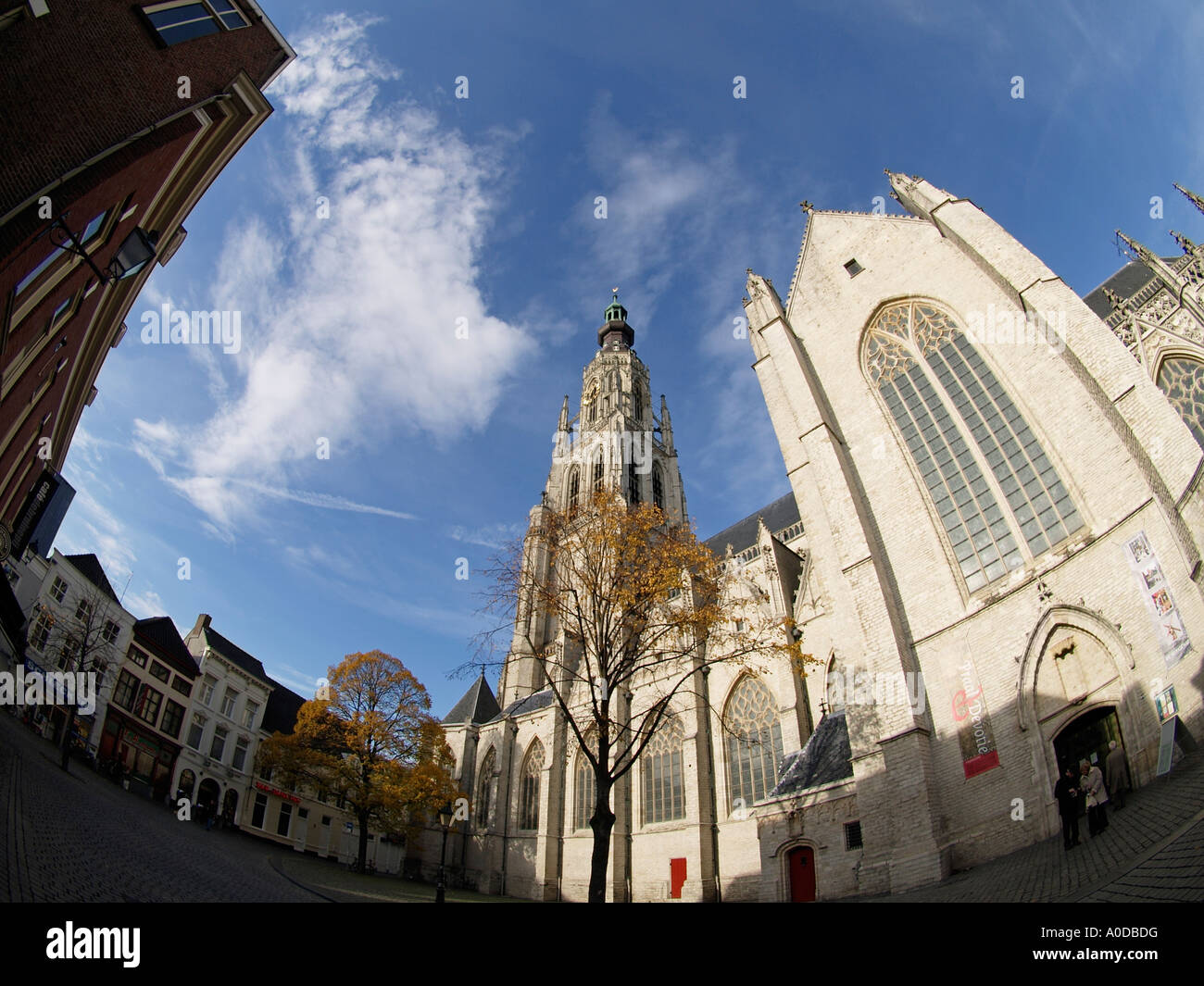 The beautifully restored church of our lady in the city center of Breda ...