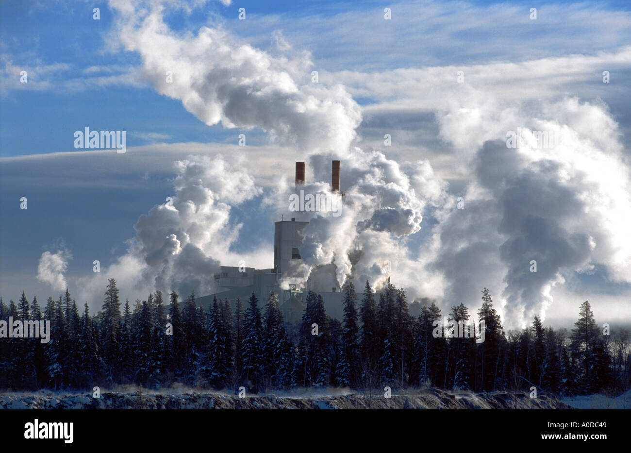 Paper production canada hi-res stock photography and images - Alamy