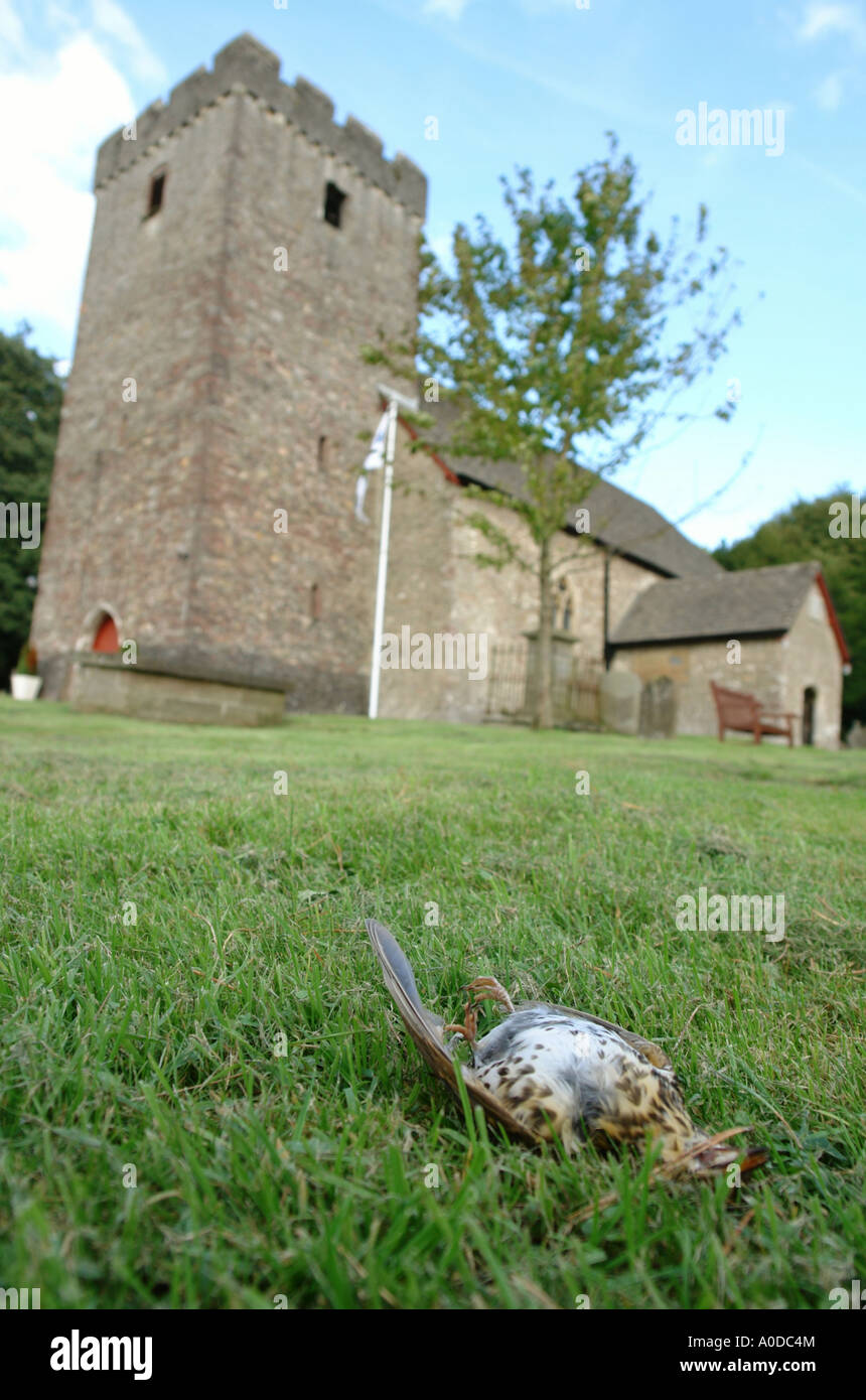 Lower Machen South Wales Gb High Resolution Stock Photography and ...