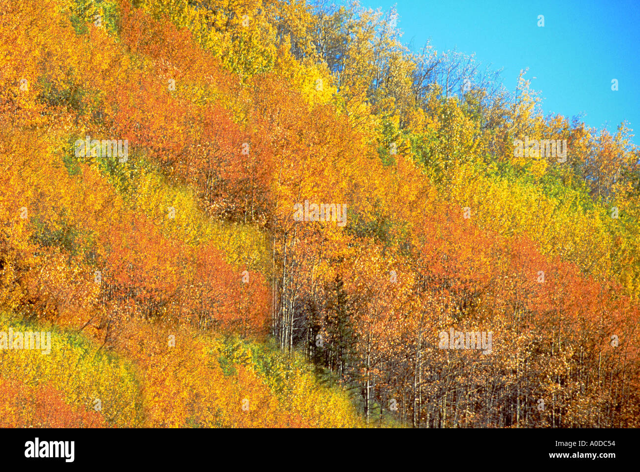 Natural colour synthesis hi-res stock photography and images - Alamy