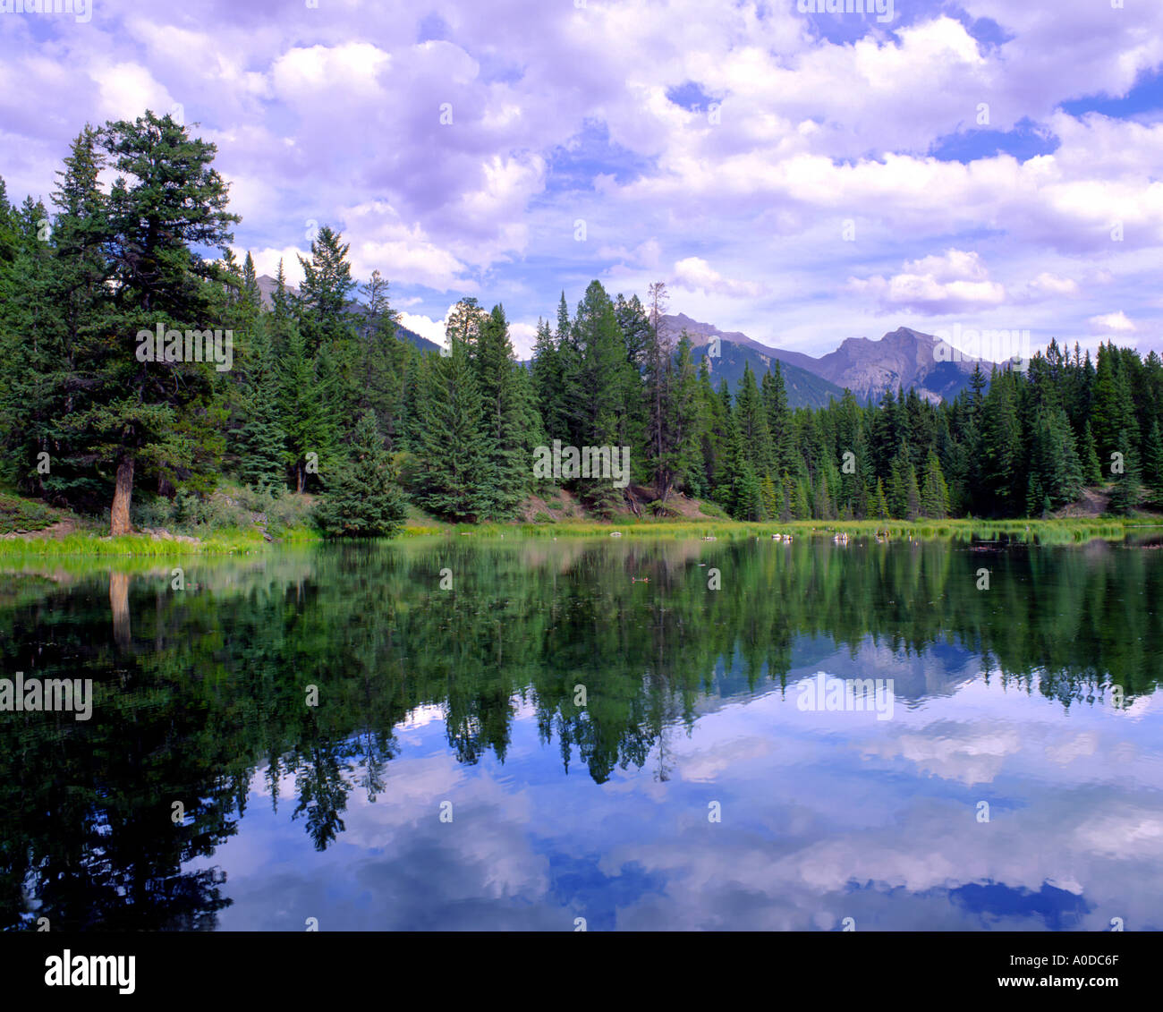 Reflections in Johnson Lake Banff National Park Alberta Canada Stock ...